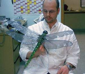 Die Größte Libelle der Welt!